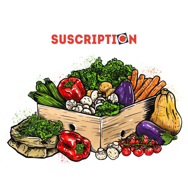 Our Boxes – Rico Farm