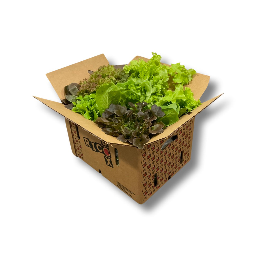 Fresh Leafy Greens – Rico Farm